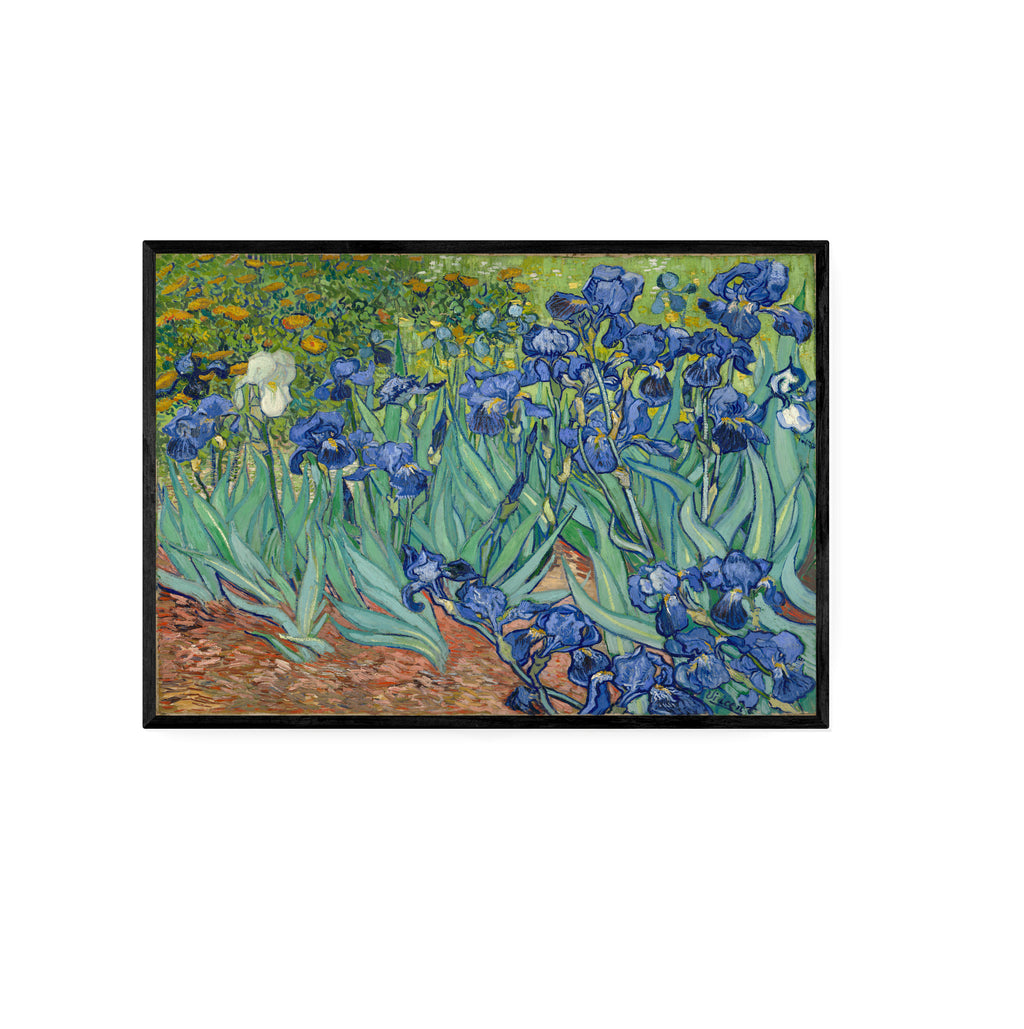 Lirios - Vincent Van Gogh | Cuadro Clásico - Artenigma