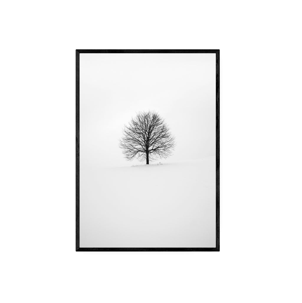 Arbol Invernal – Artenigma